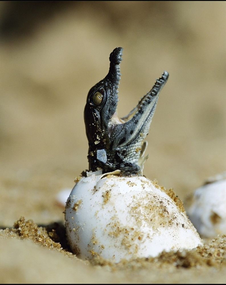 Exiting the workweek | MLTSHP