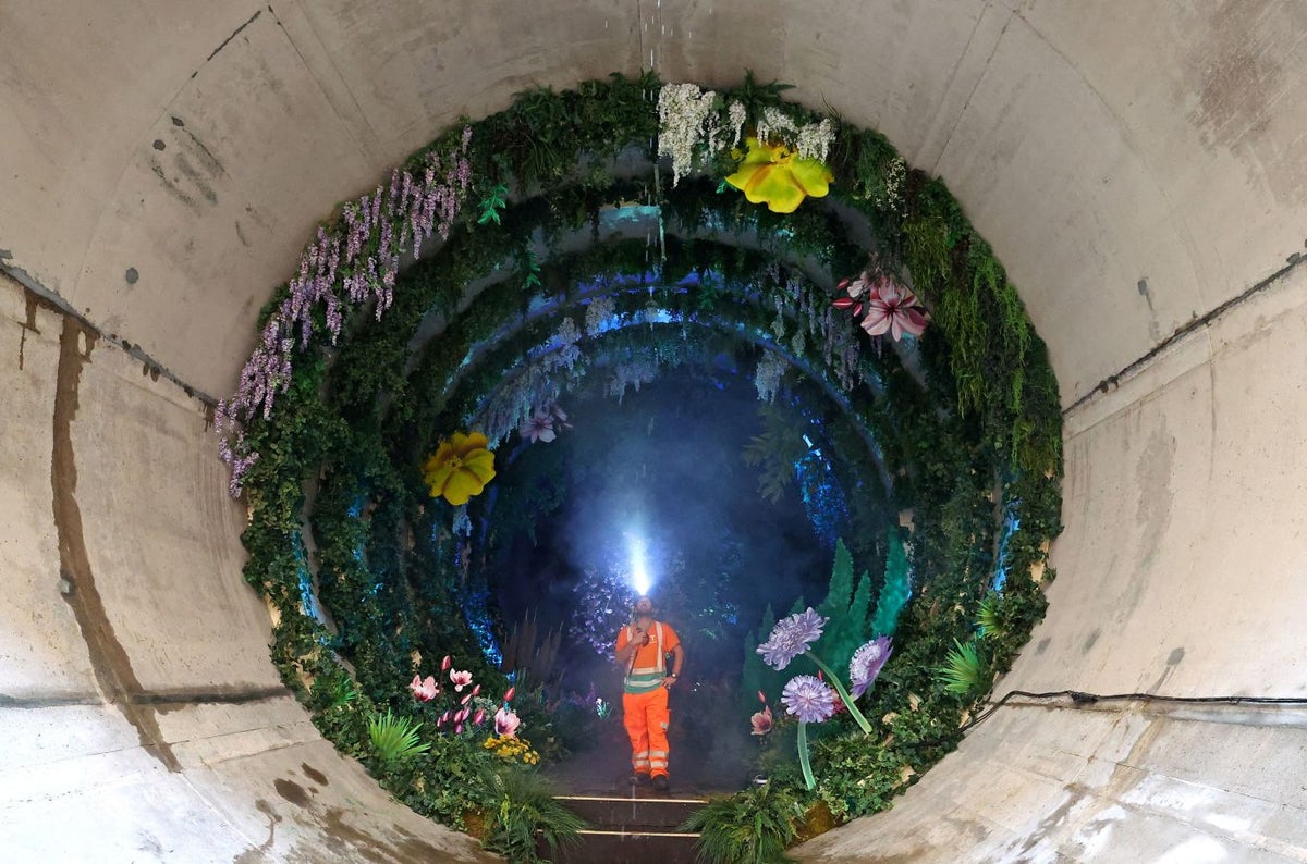 Urban garden | MLTSHP