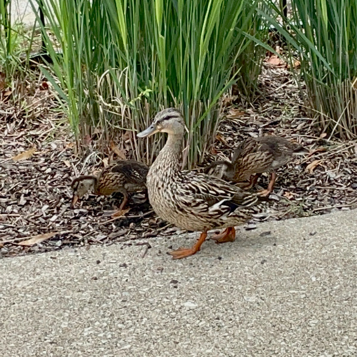 What I saw. | MLTSHP