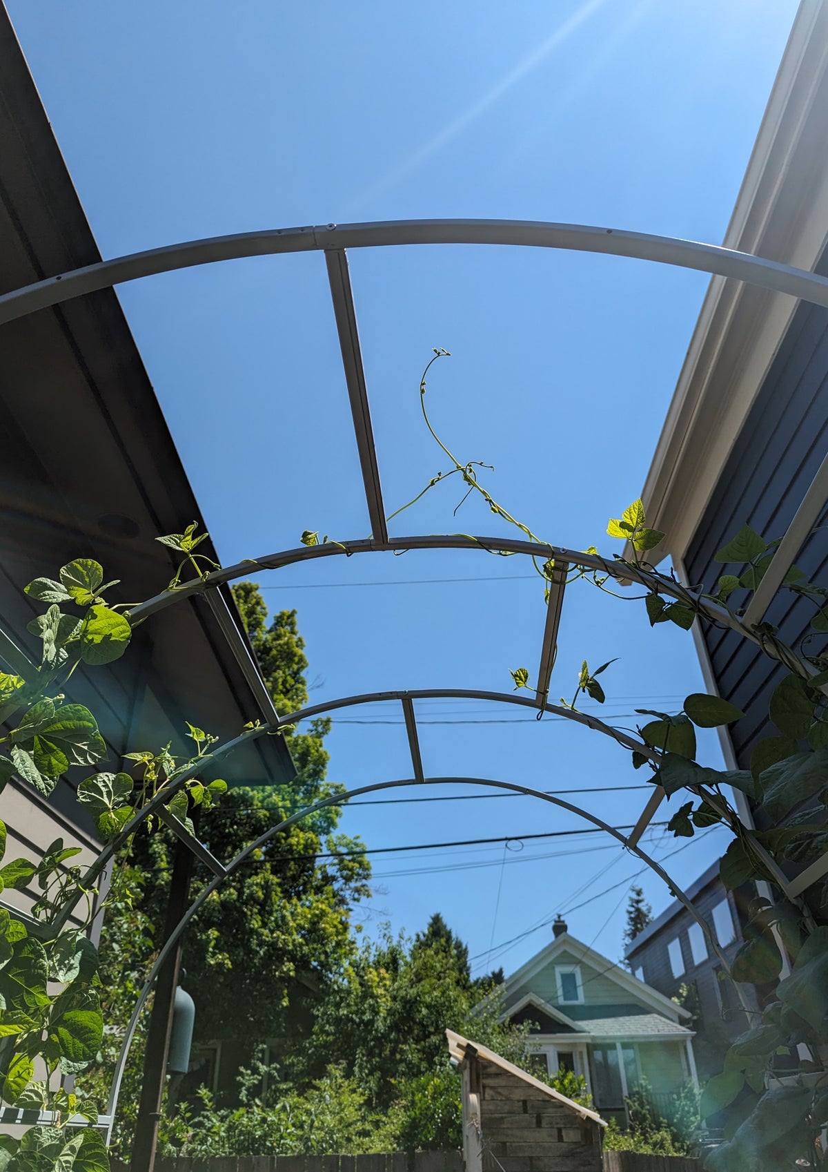 It's a bean arch! | MLTSHP