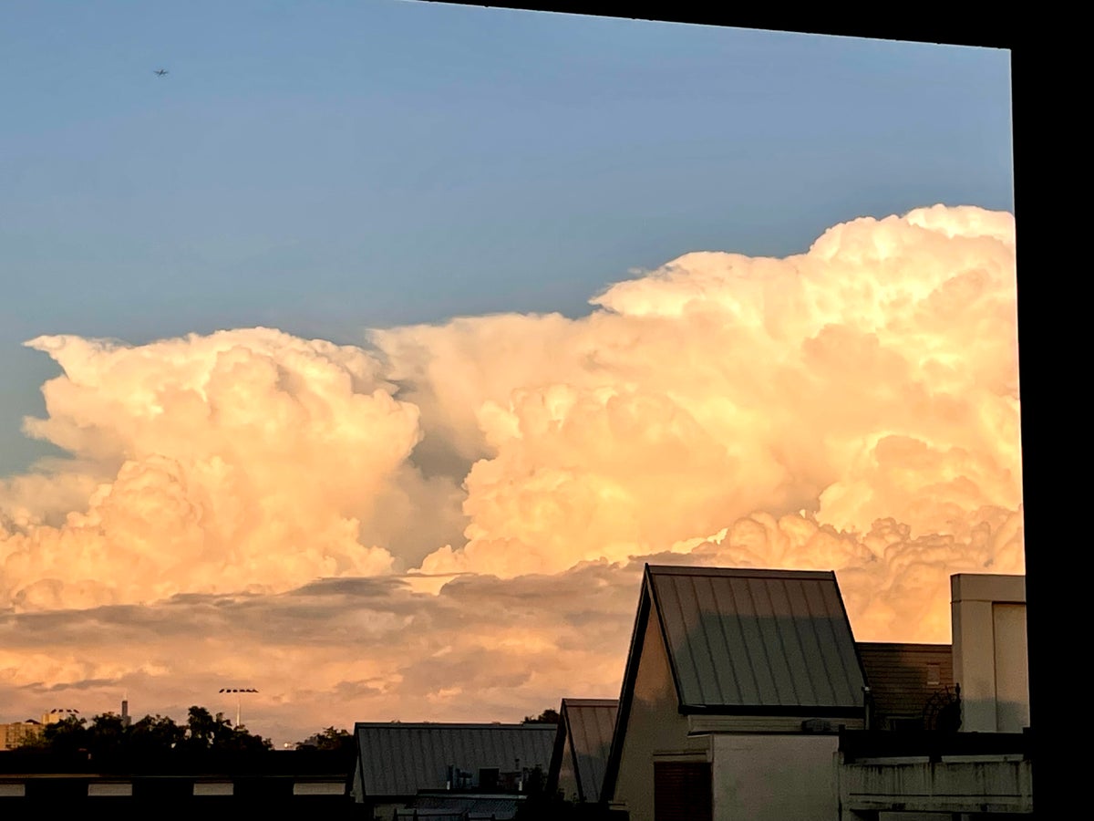 Out my window. | MLTSHP