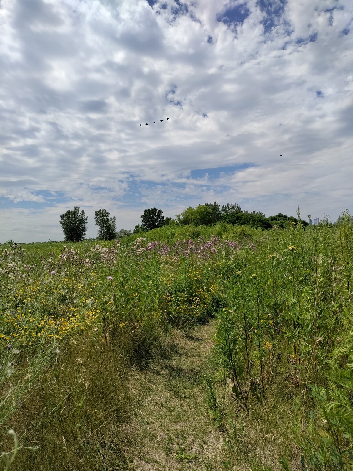 Today's Ride. | MLTSHP