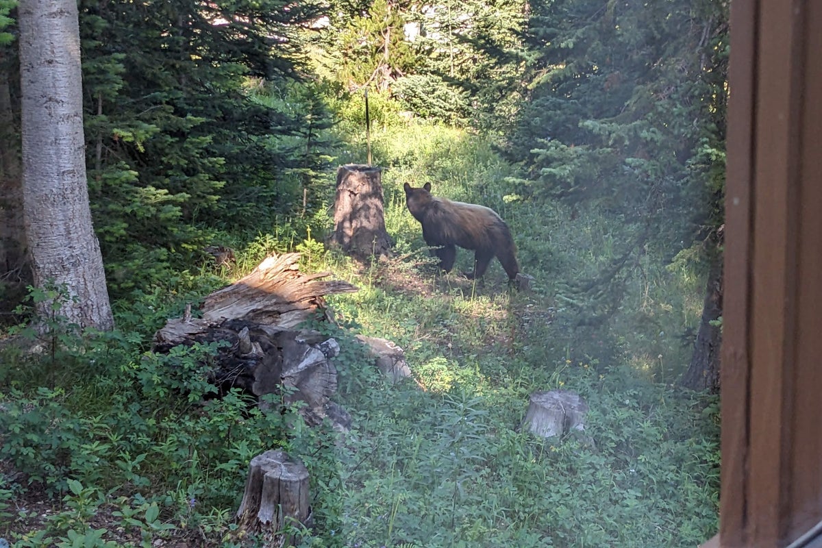 out the office window this morning | MLTSHP