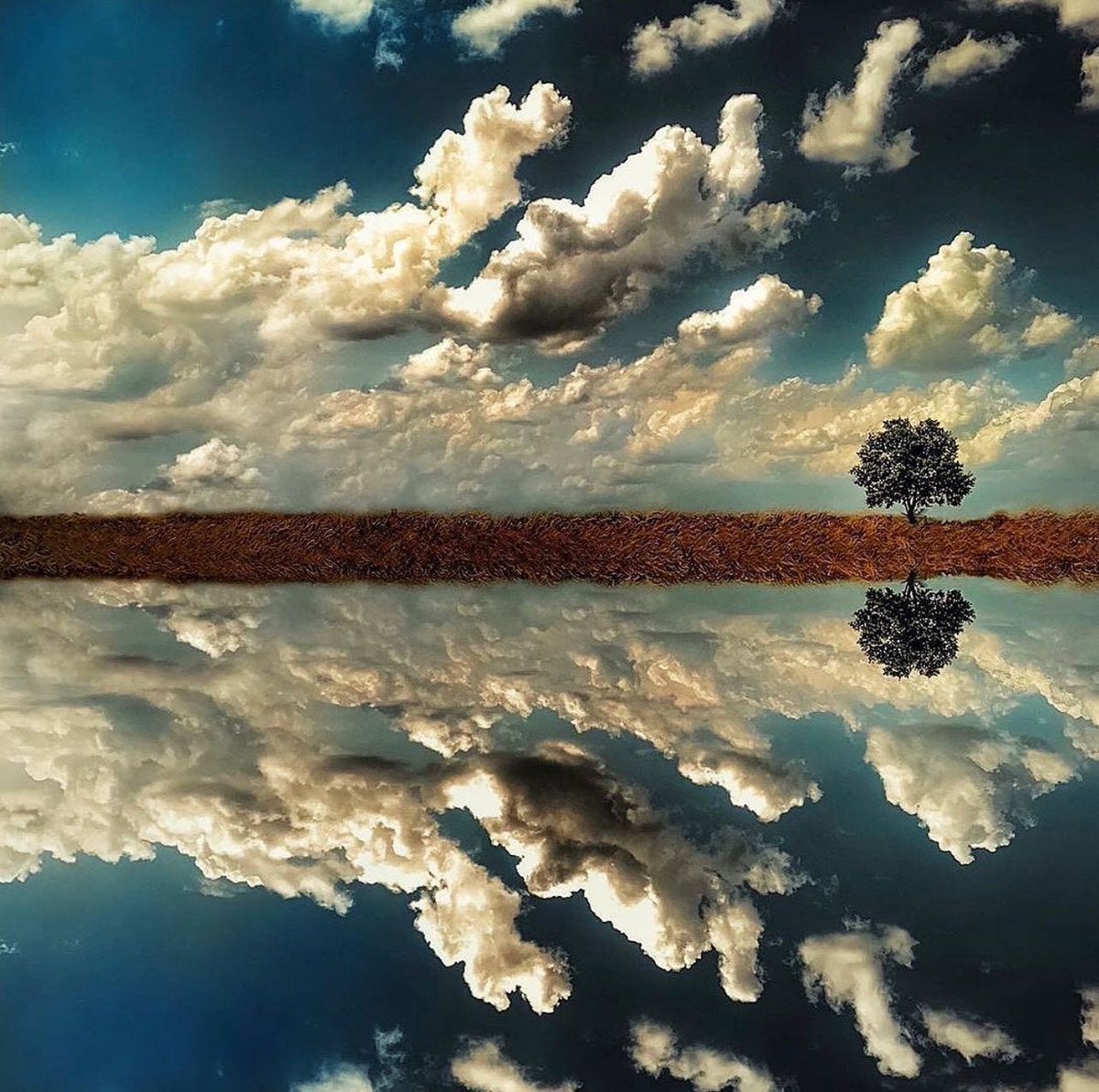 Untitled, 2023 | Samantha Fiore | MLTSHP