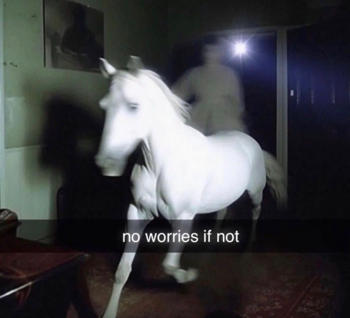 EVERY. DAY. | MLTSHP