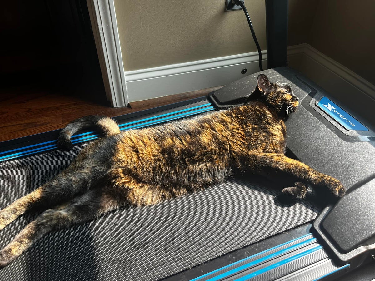 Perfect treadmill use | MLTSHP