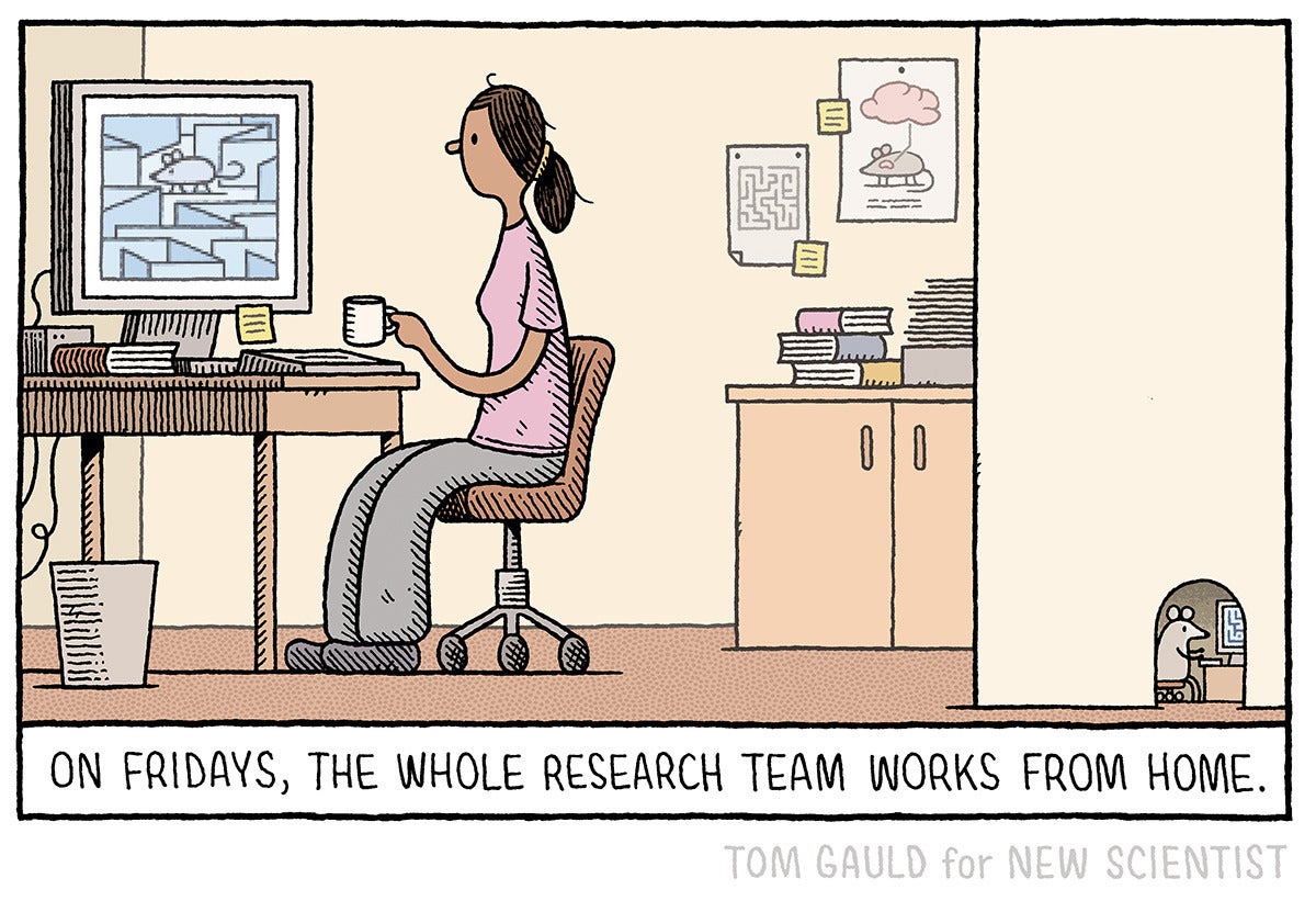 Tom Gault It's Friday | MLTSHP