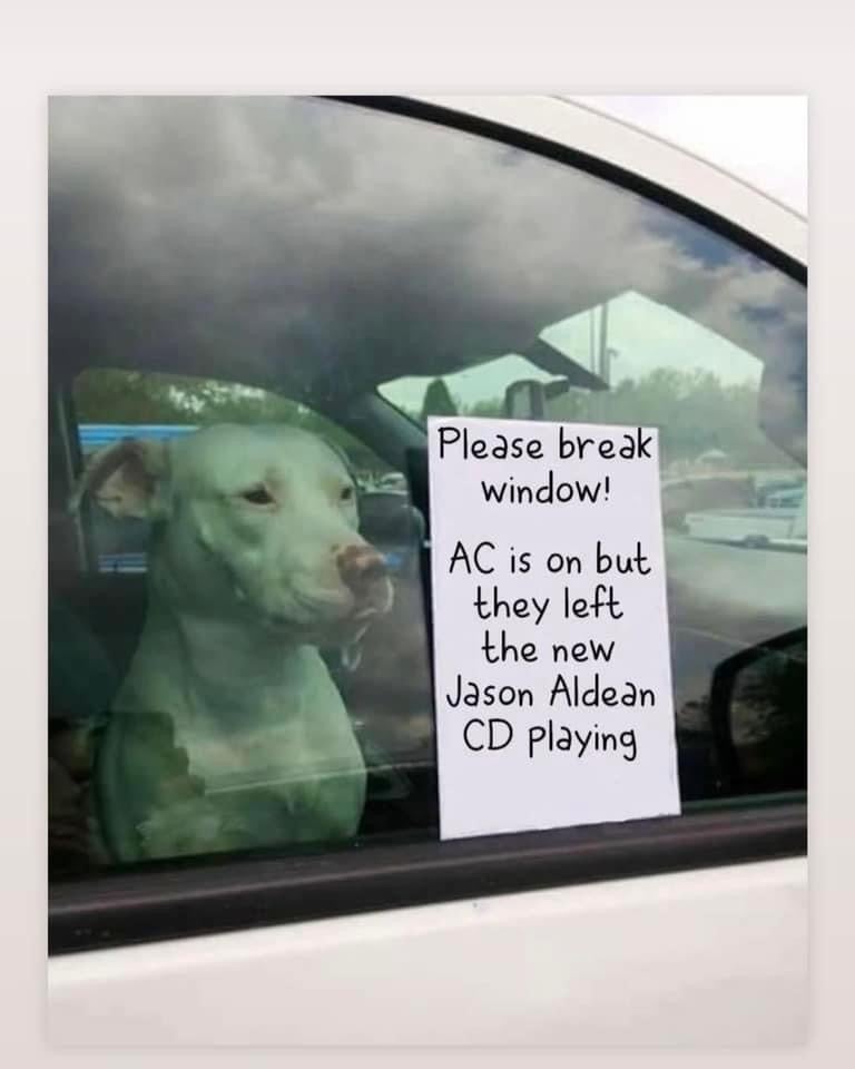 A fate worse than death | MLTSHP