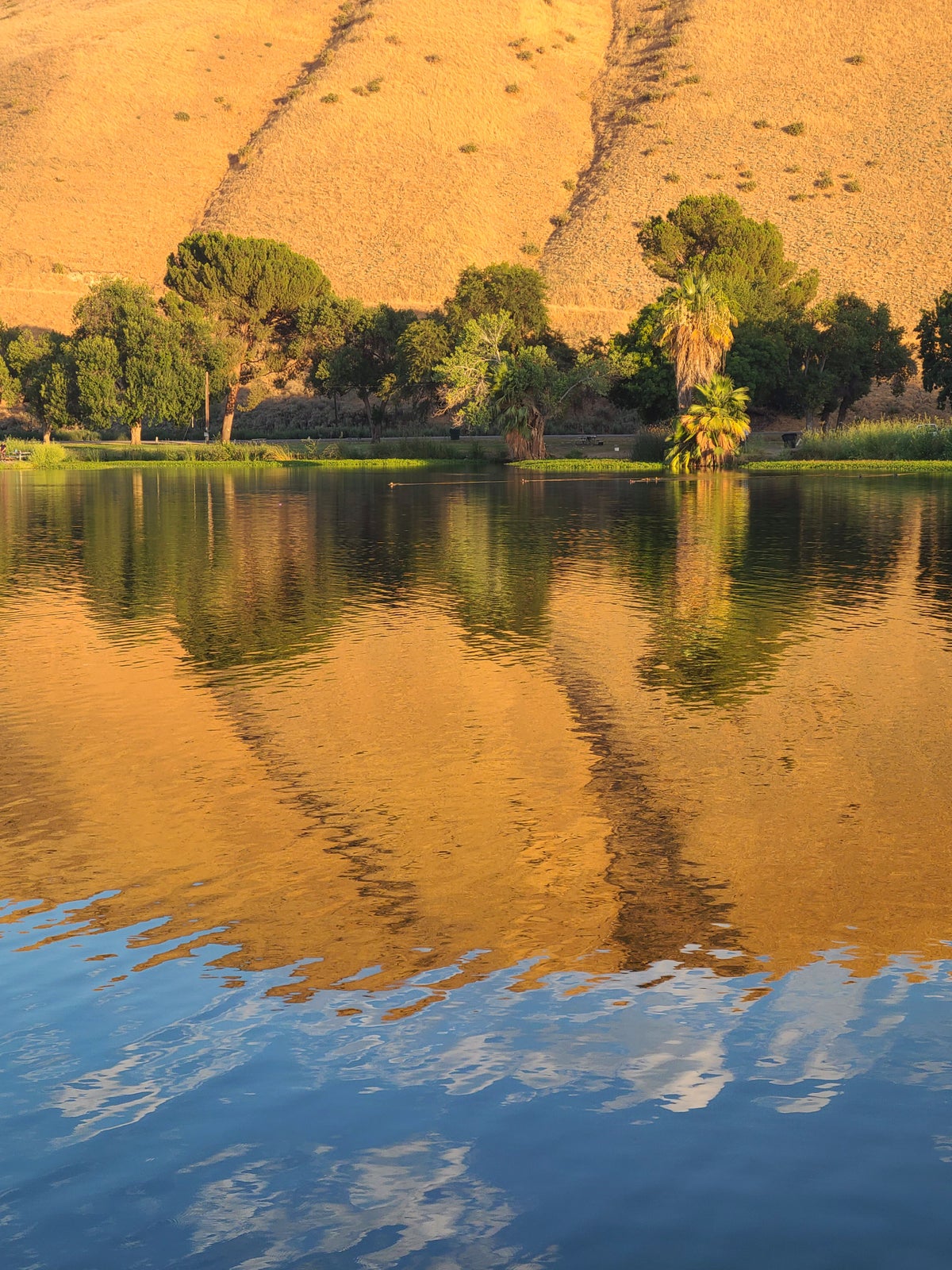 Out, Across The Way | MLTSHP