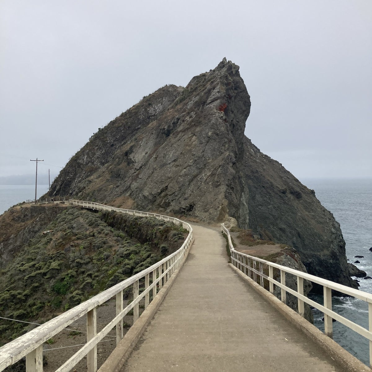 getting to the point | MLTSHP