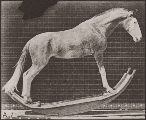 Hornet, the rocking horse | MLTSHP
