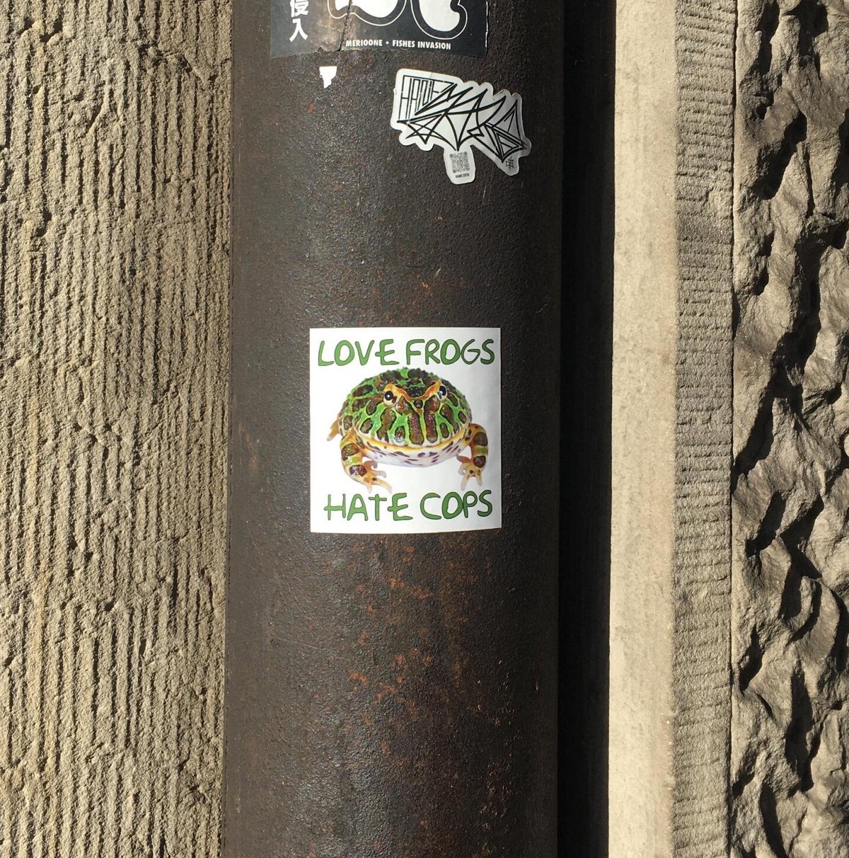 As seen in Cologne | MLTSHP