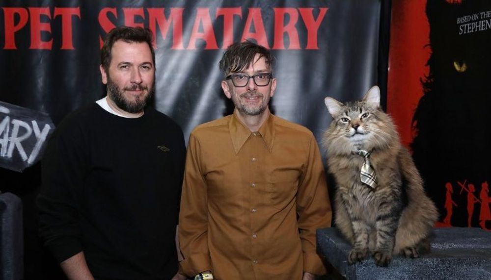 It's International Cat Day | MLTSHP