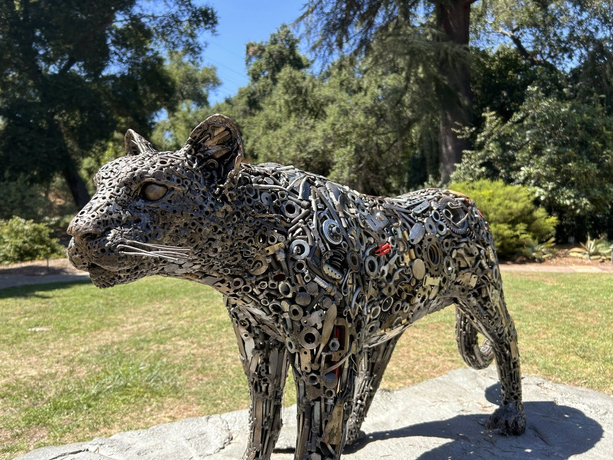 Nikita, Brian Mock | MLTSHP