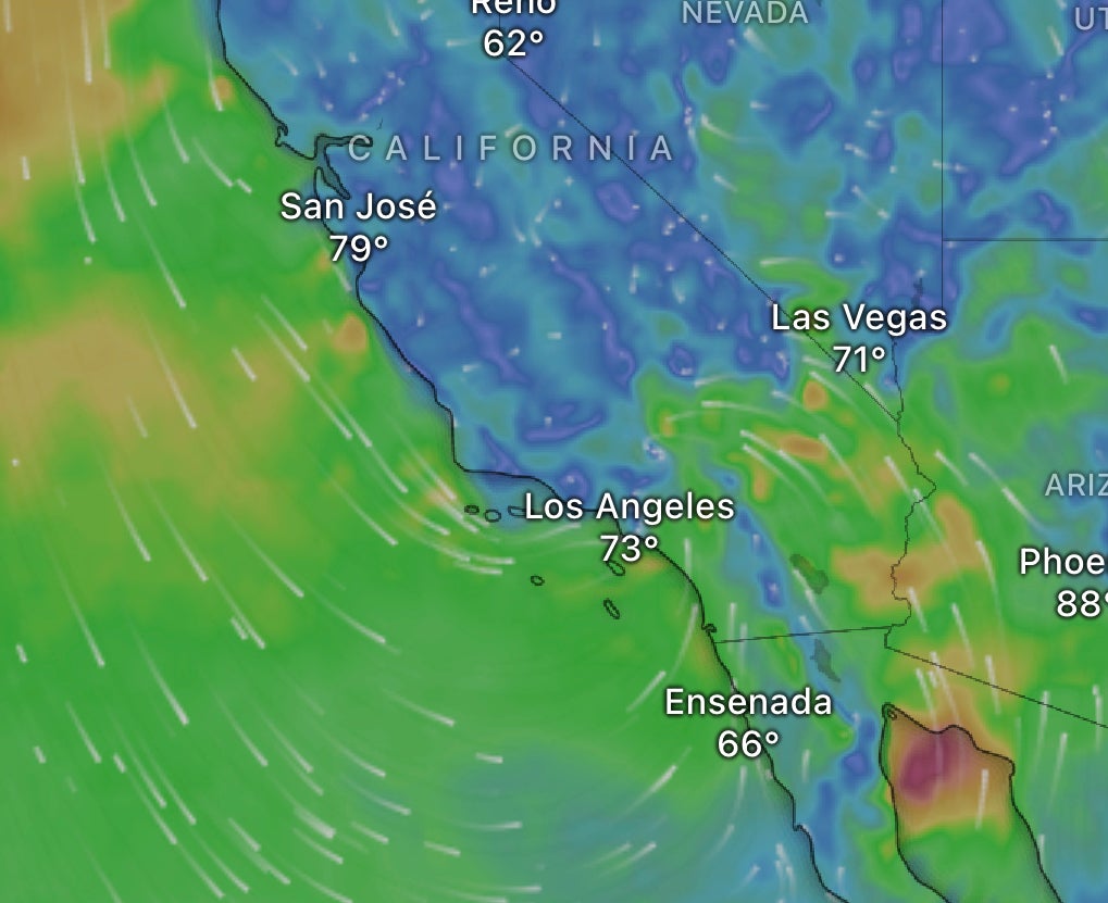 out with a whimper | MLTSHP