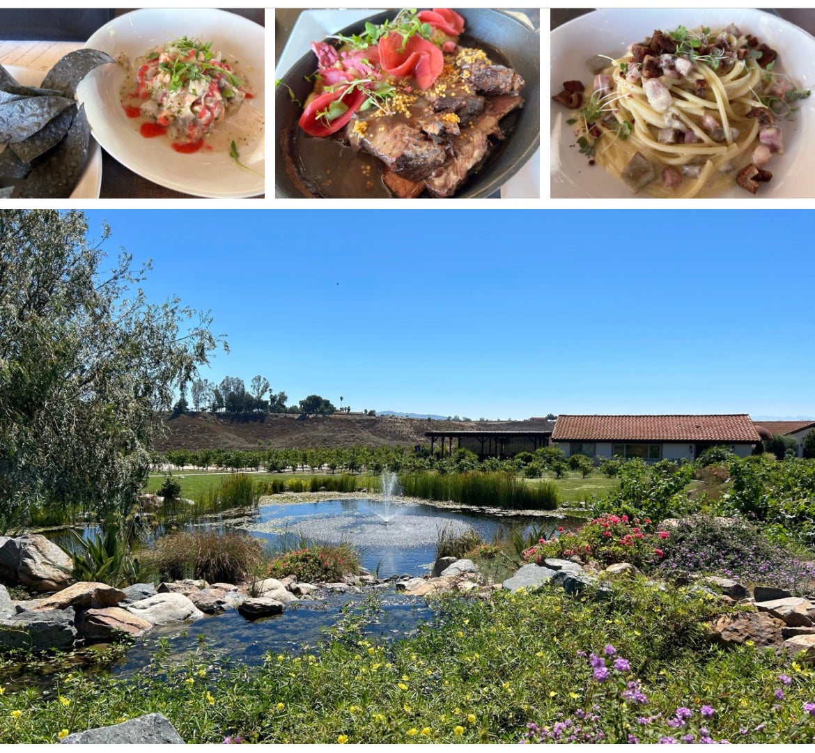 Had a wonderful anniversary lunch over at the beautiful Avensole Winery with @sjwallin80. | MLTSHP