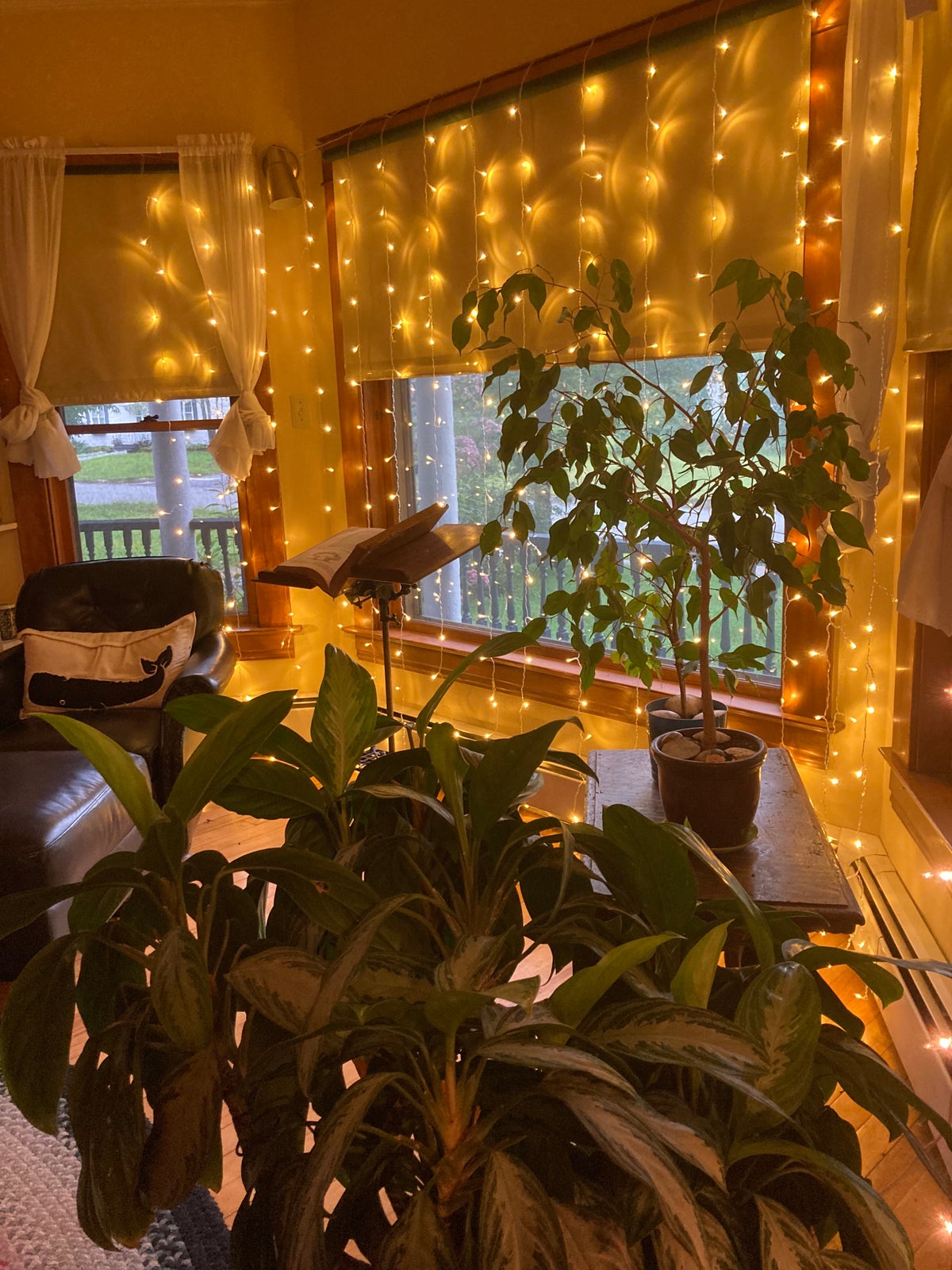 I know it's August but I am prepping for winter | MLTSHP