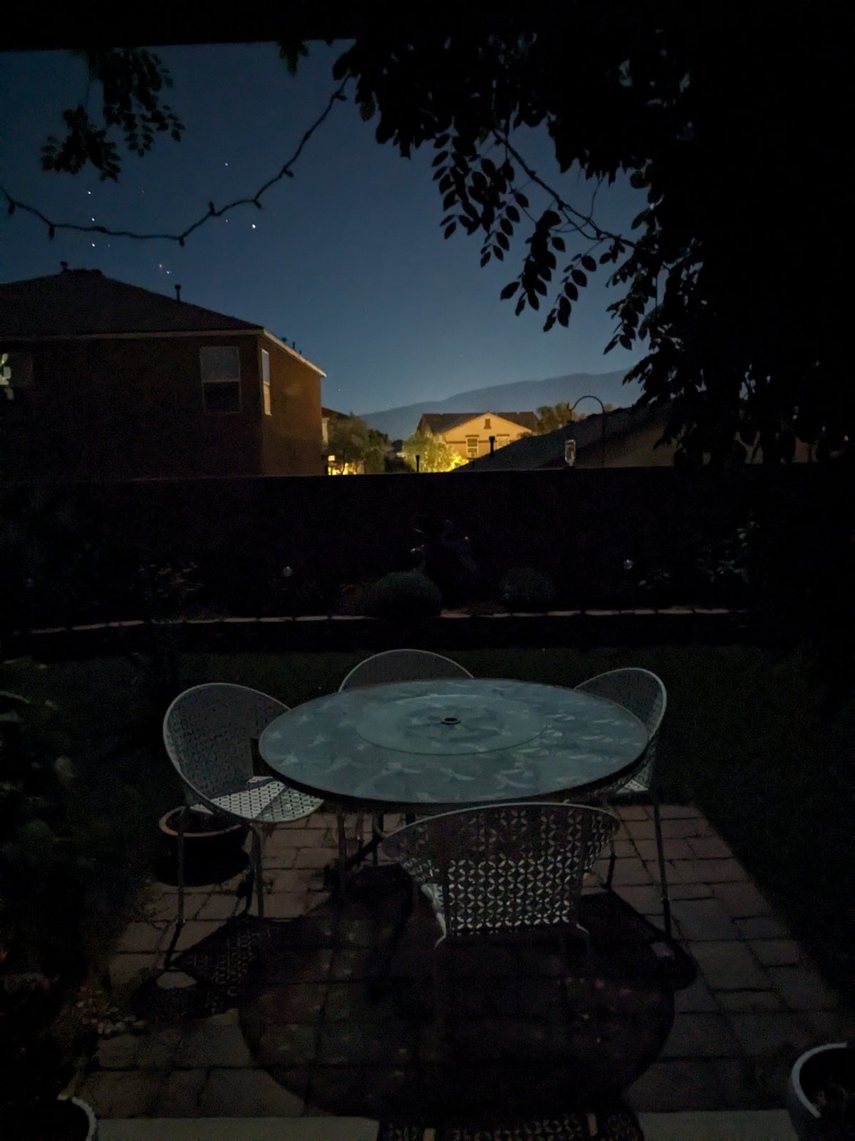 Night sight 2 of 2 | MLTSHP