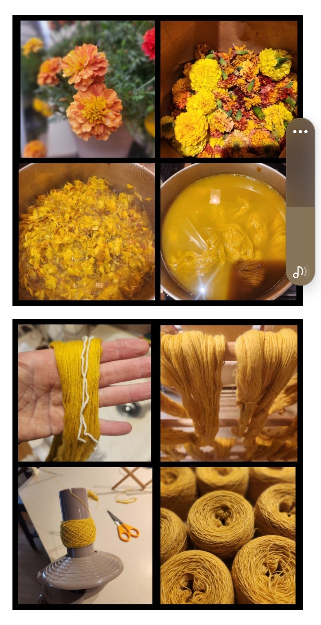 Dad's Birthday | MLTSHP