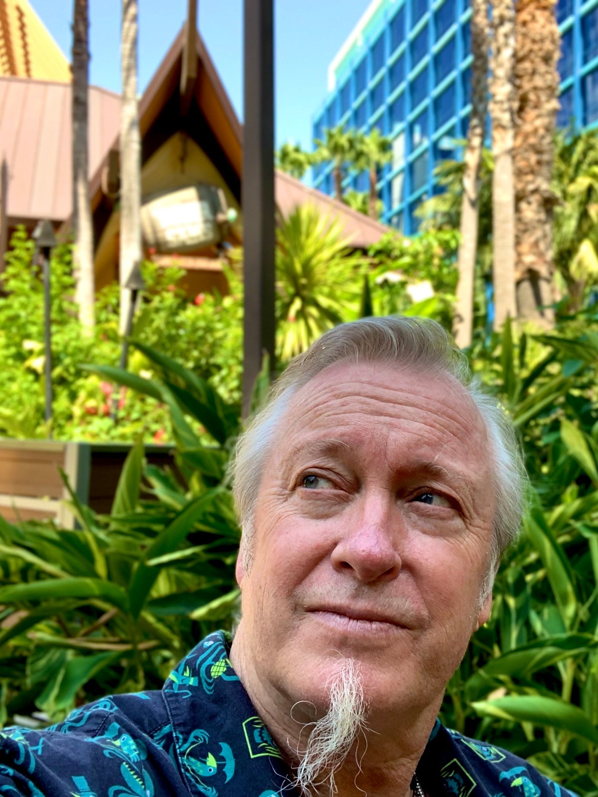 TIKILAND DAY EVE | MLTSHP