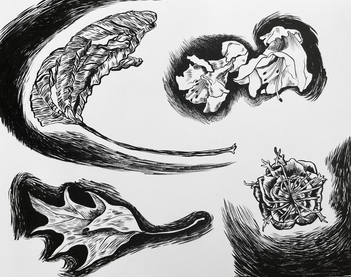 Drawing stuff.. | MLTSHP