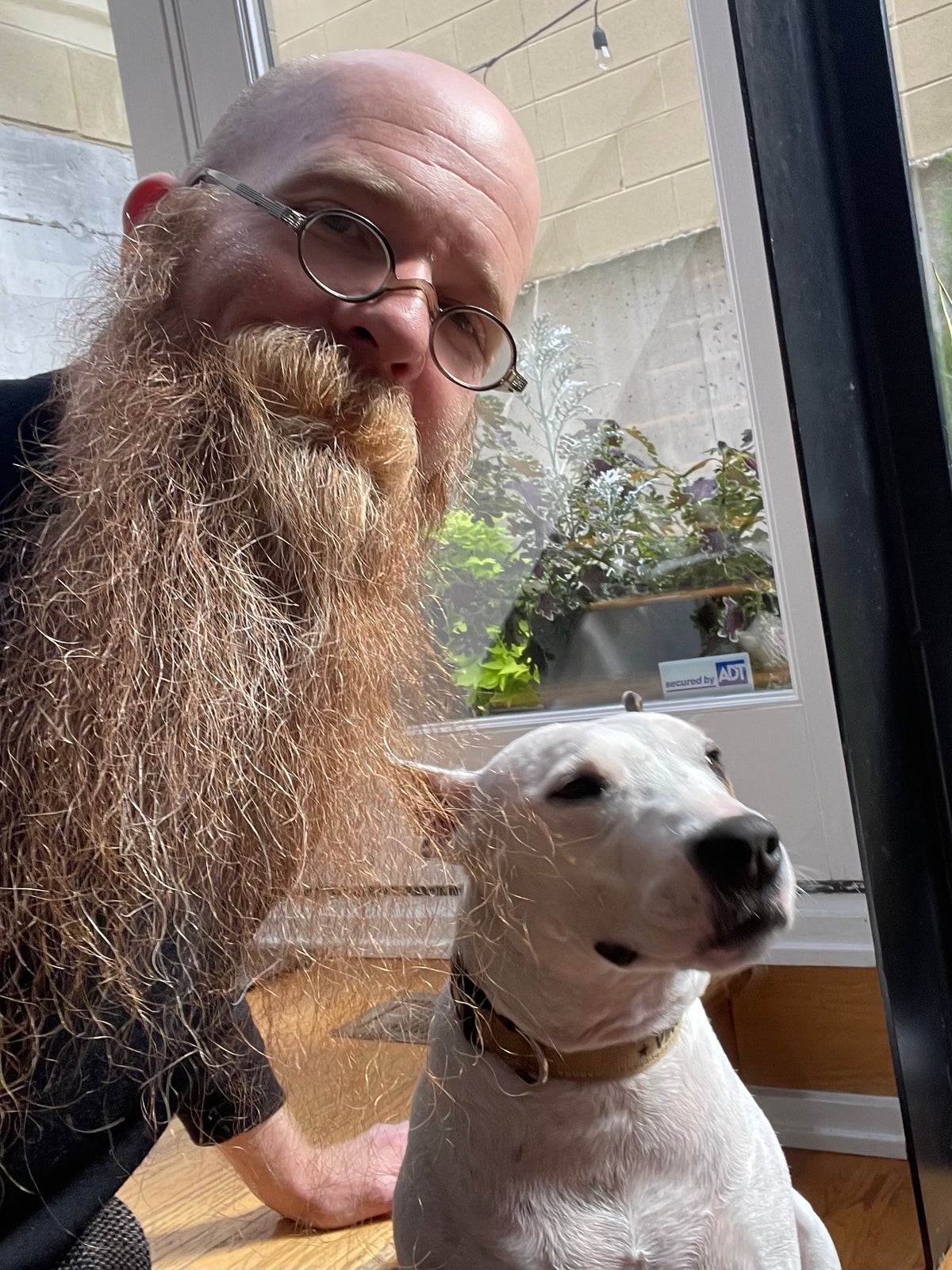 Co-pilot Vincent | MLTSHP