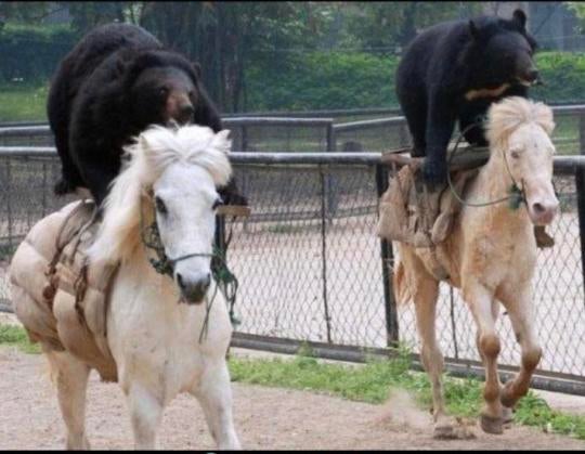 pair programming | MLTSHP