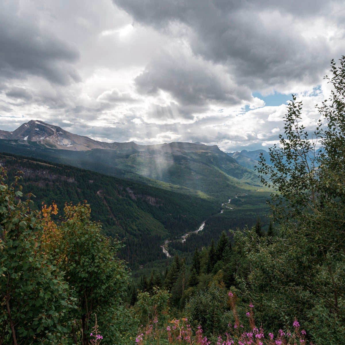 View from Going-to-the-Sun Road | MLTSHP