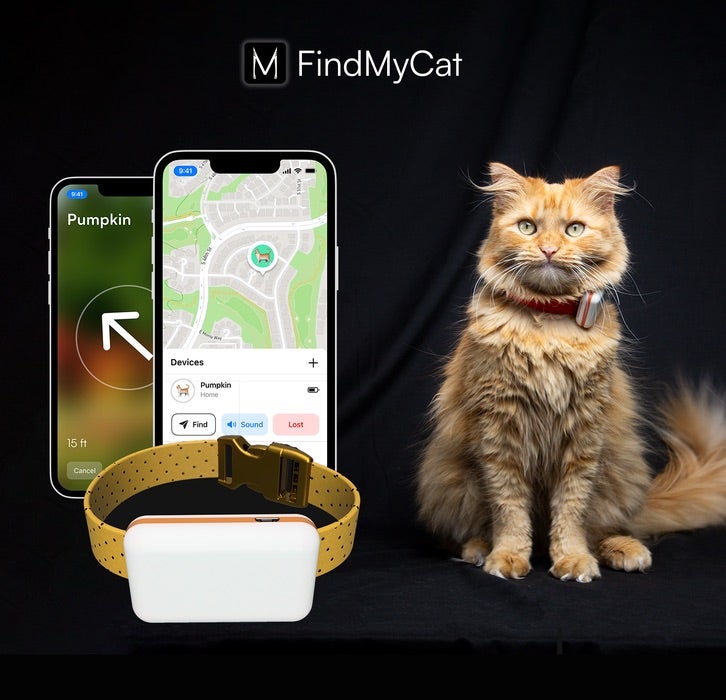 I thought we had a relationship based on trust | MLTSHP