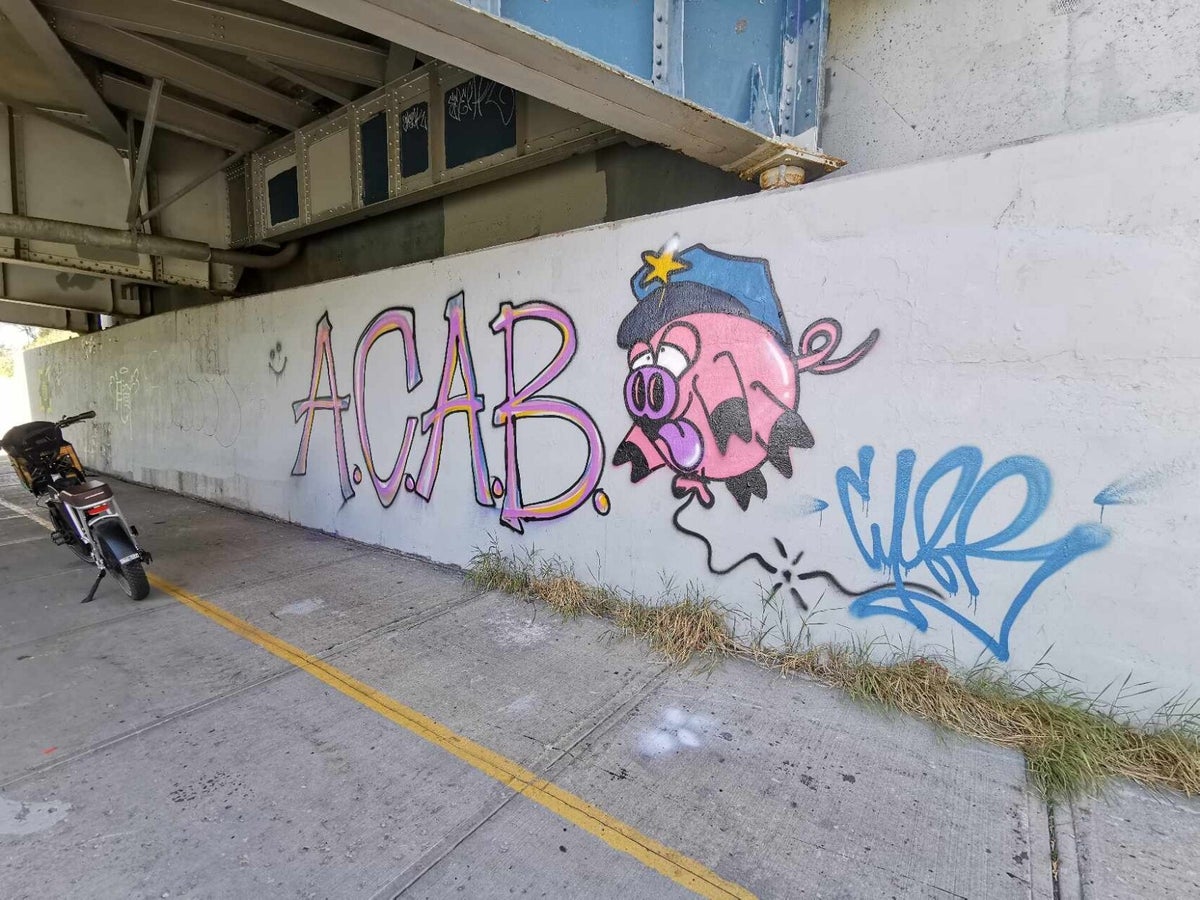 spotted in Red Deer, Alberta | MLTSHP