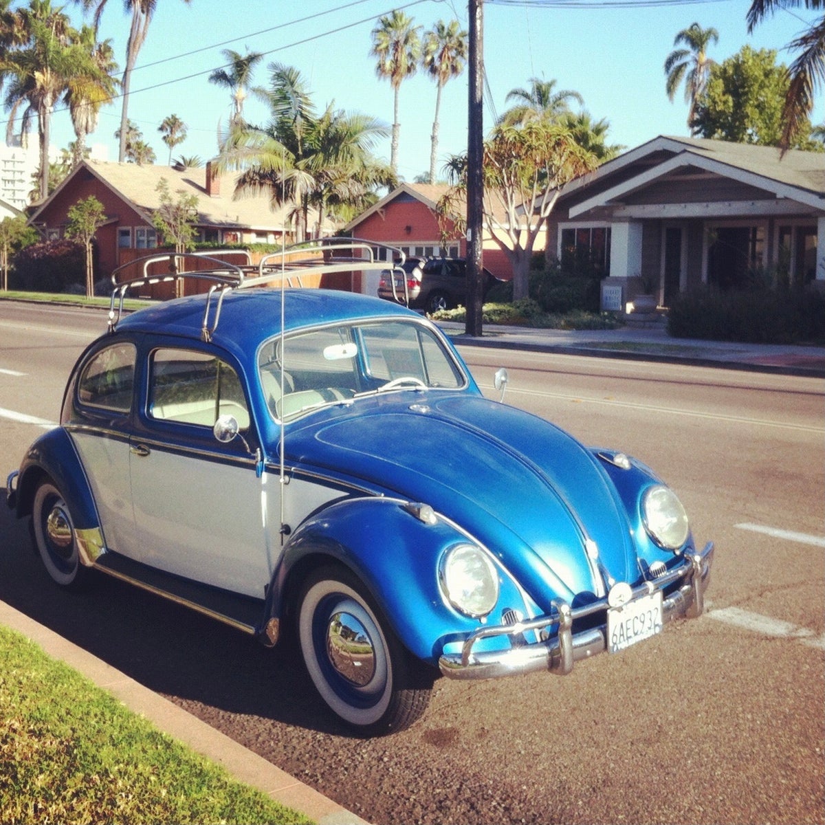 Classic bug | MLTSHP