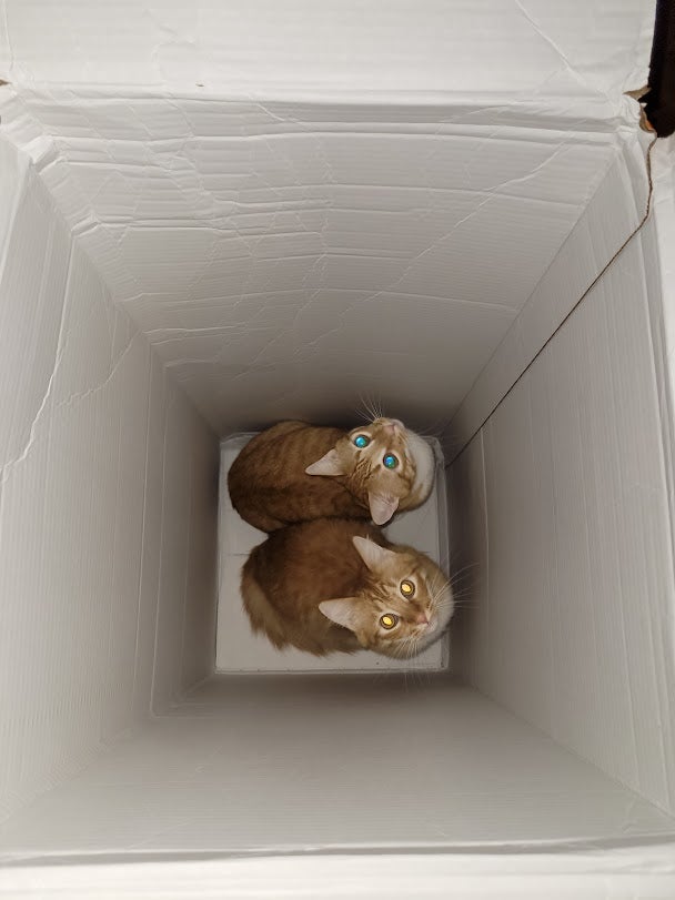 Identical-ish. | MLTSHP