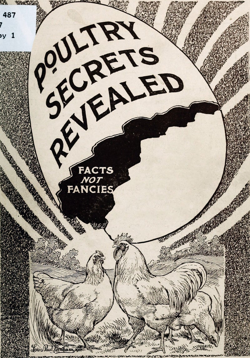 Hot hot chicken action | MLTSHP