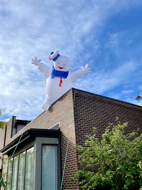 What did you do Ray...? | MLTSHP