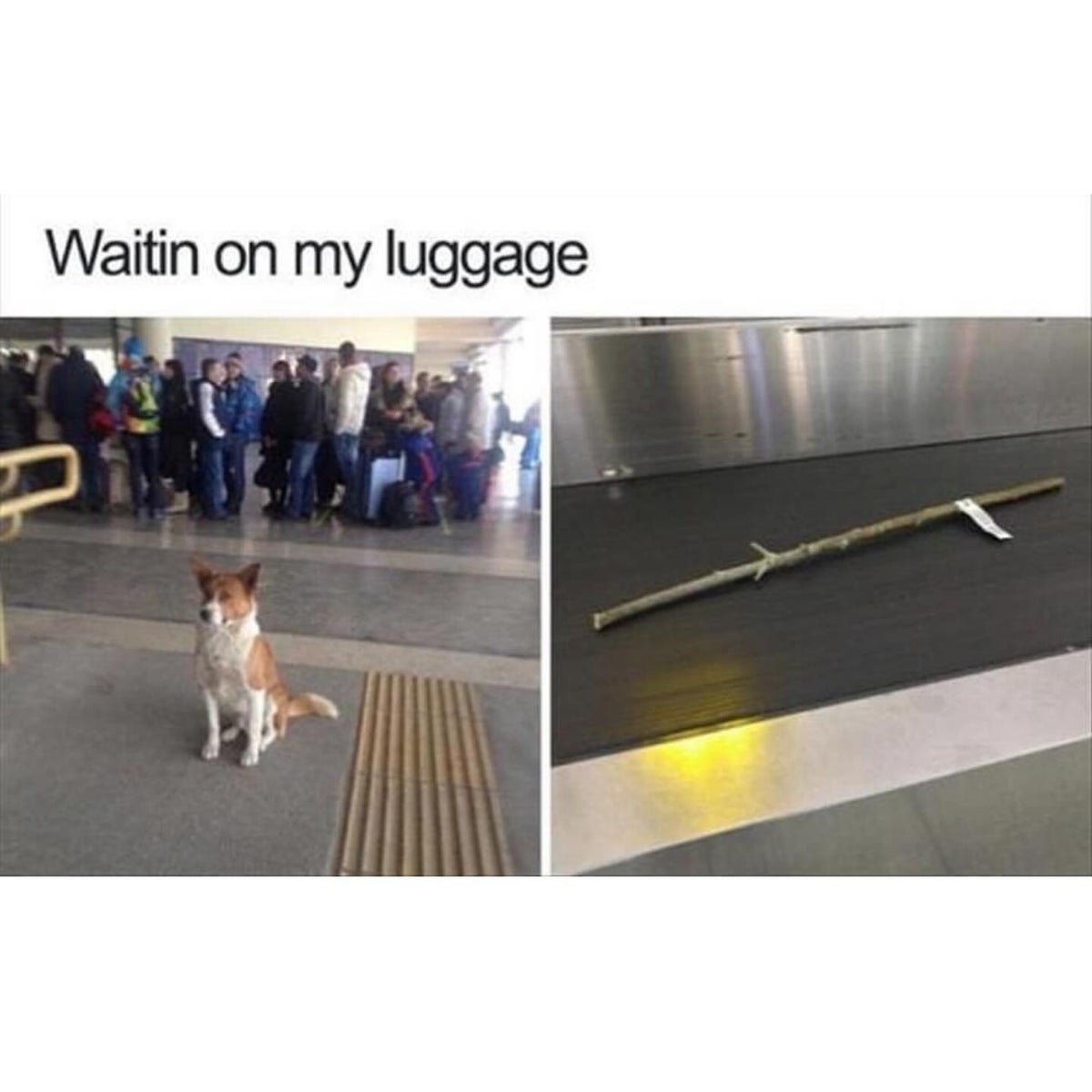 Important stick update | MLTSHP