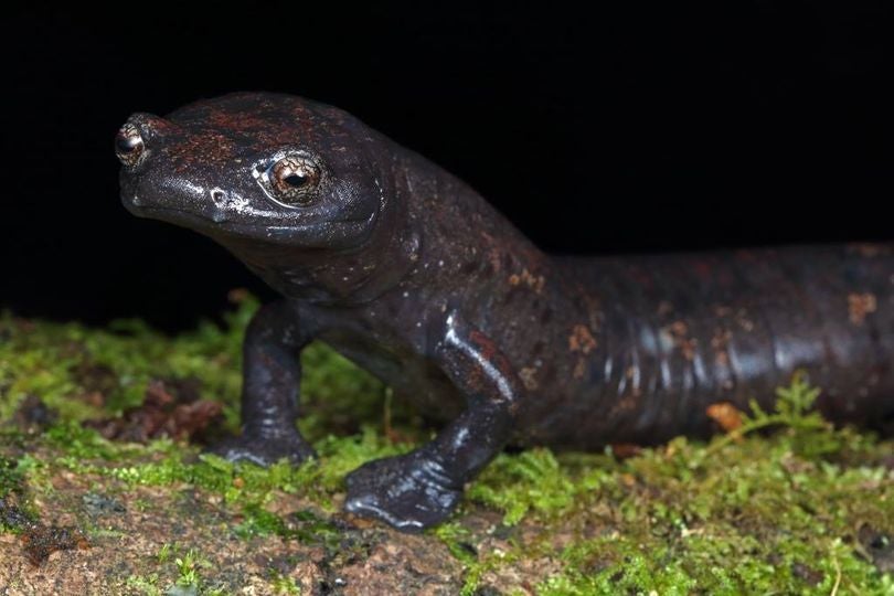 This guy's here | MLTSHP