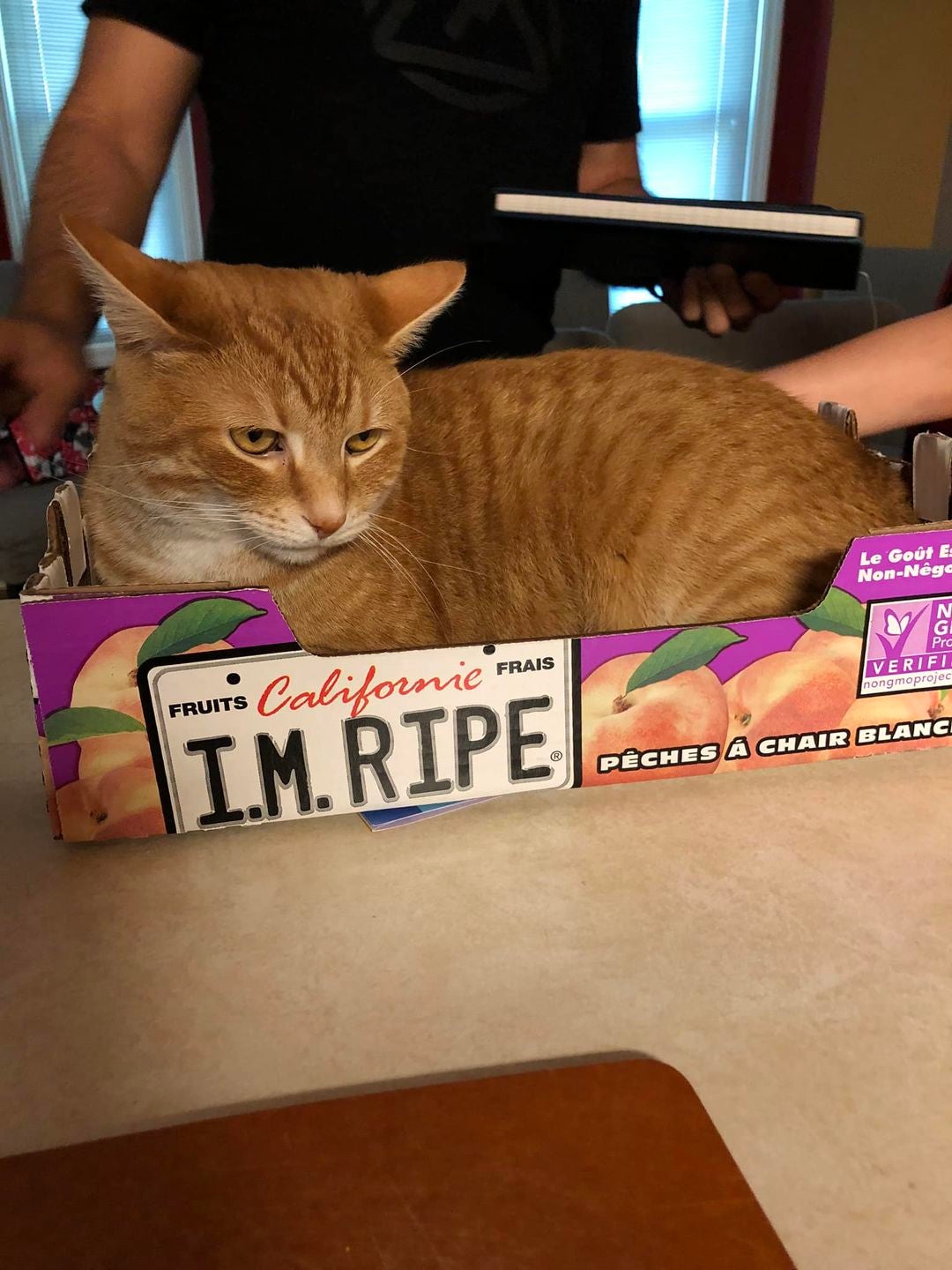 Really like your peaches | MLTSHP