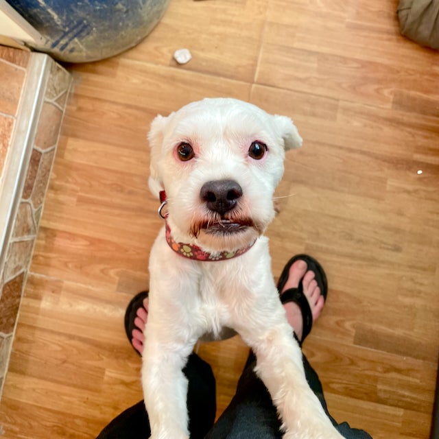 My nosy downstairs neighbor... | MLTSHP