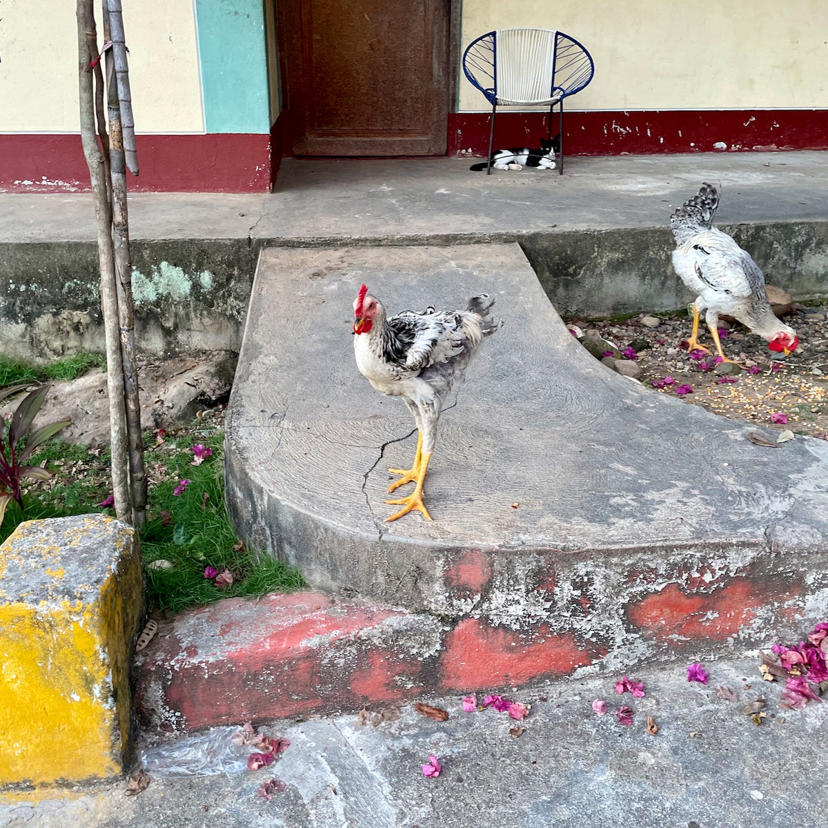 A few observations... | MLTSHP