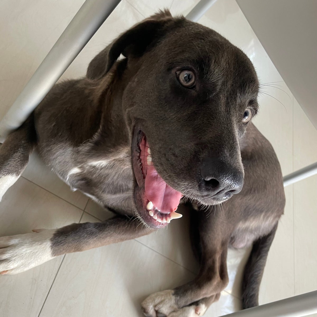 Makin’ friends like it’s my job. | MLTSHP