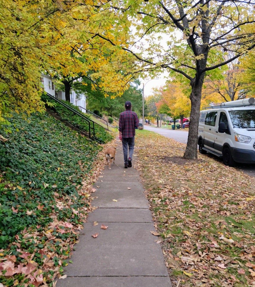 Occasional Paiser: Autumn Stroll Edition | MLTSHP
