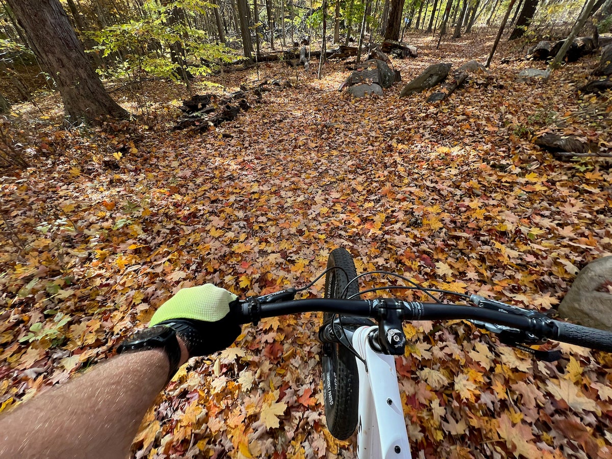 A very leafy bike ride | MLTSHP