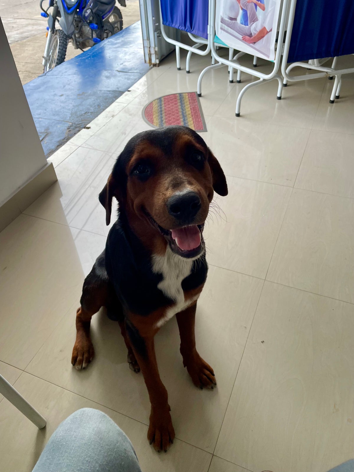 Like it’s my job… | MLTSHP