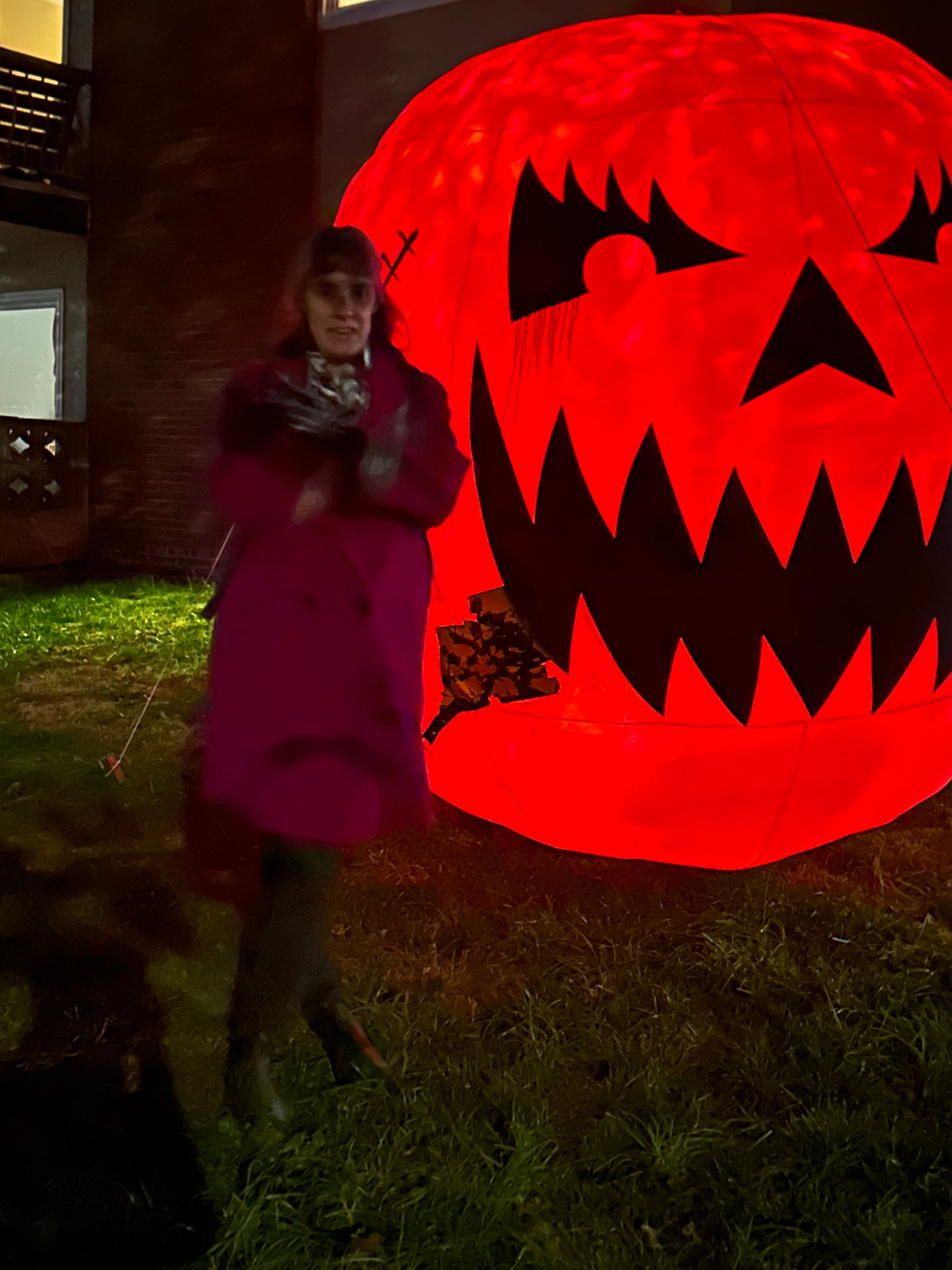 Feelin festive | MLTSHP