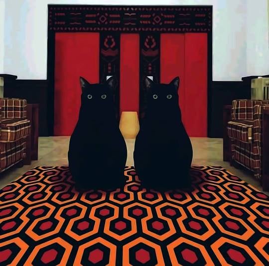 Play with us | MLTSHP