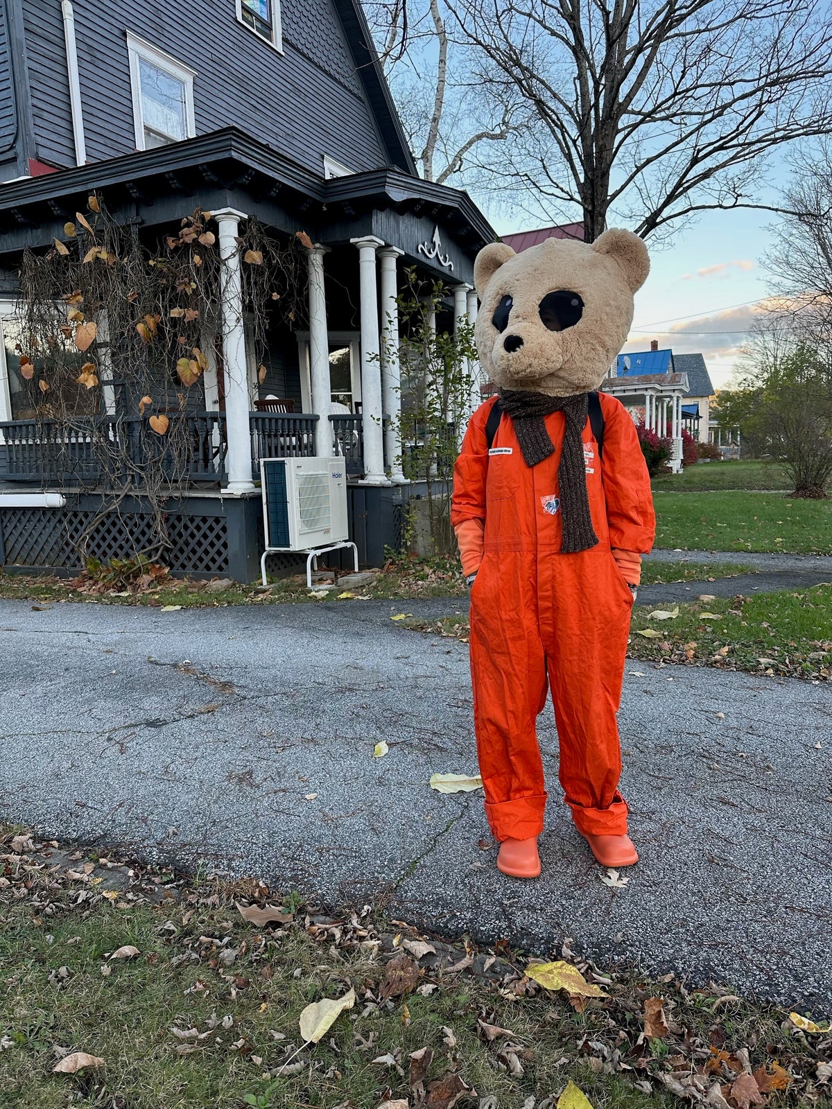 Daylights Savings Bear | MLTSHP