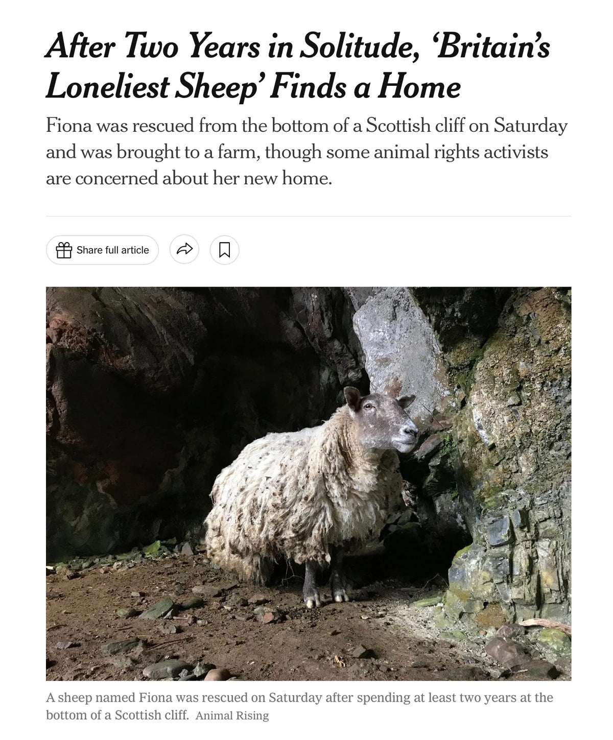 ”leave me the fuck alone,” seethes ovine crone | MLTSHP