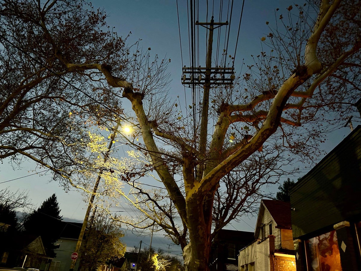 the night feeling | MLTSHP