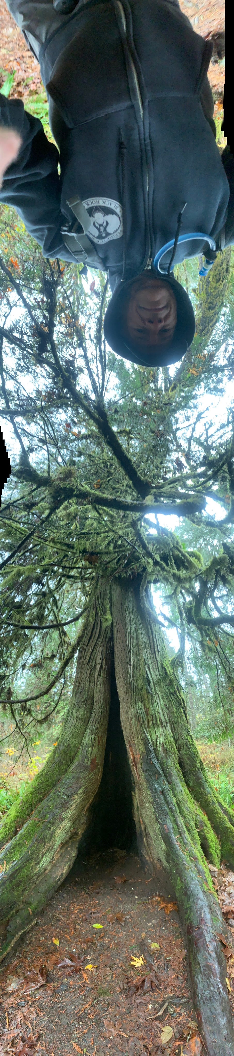 a little hike | MLTSHP