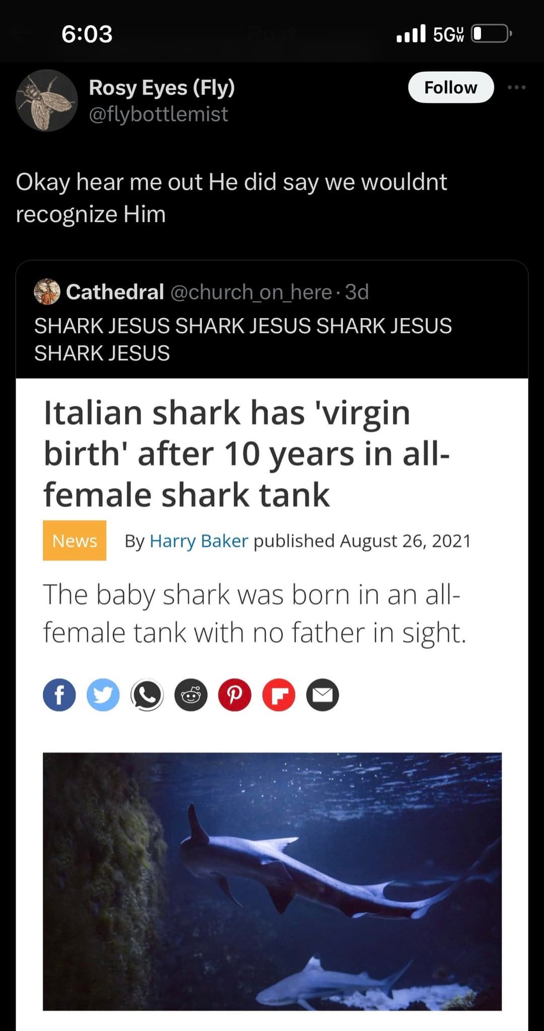 Jesus shark doo doo doo doot da doo! | MLTSHP